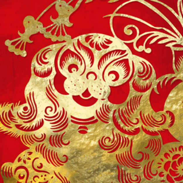Dog Relationship Compatibility: The Loyal Lover | Tarot.com