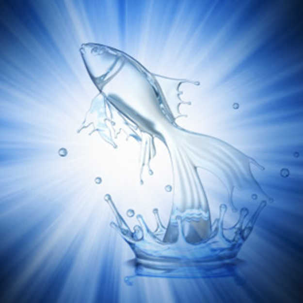 A Taste of Tarot: Pisces and The Moon