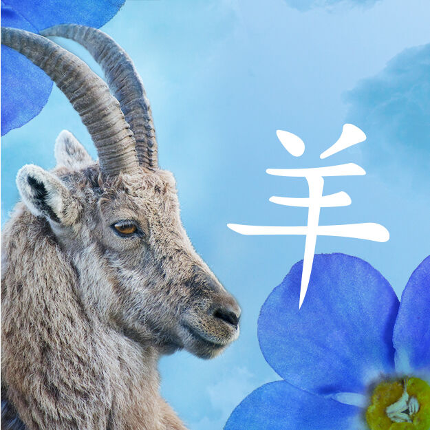 Chinese Zodiac: The Goat | Tarot.com