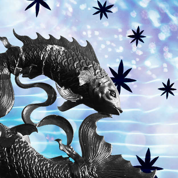 All About Pisces | Tarot.com